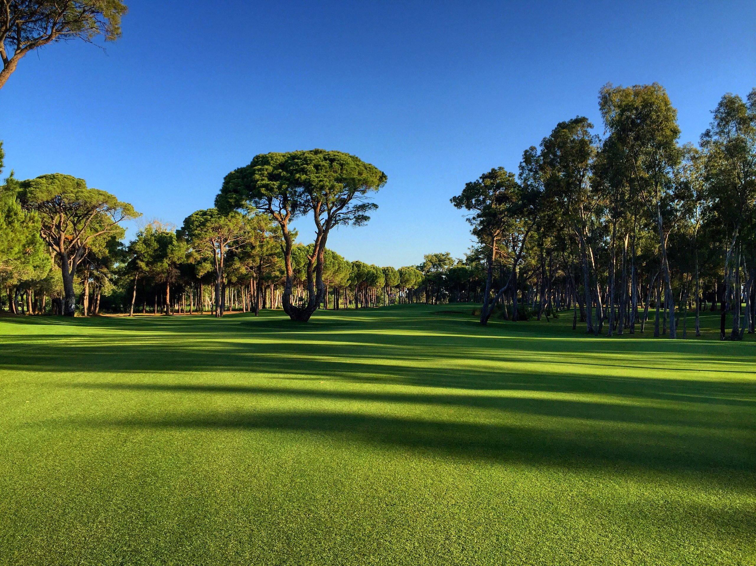 Kaya Palazzo Golf Club Golfplatz Belek Türkei | Green Golf