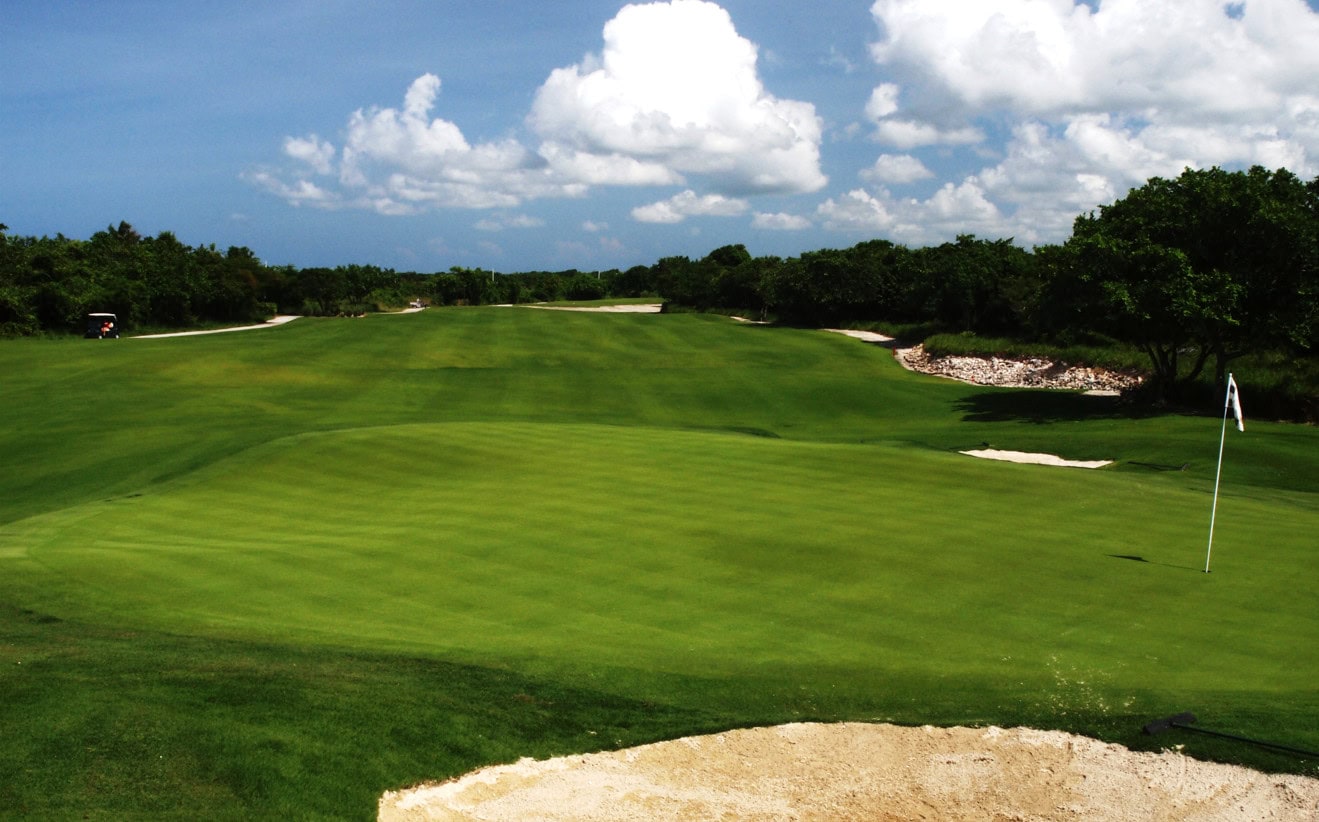 Hard Rock Golf Club Cana Bay Course - Überblick | Green Golf