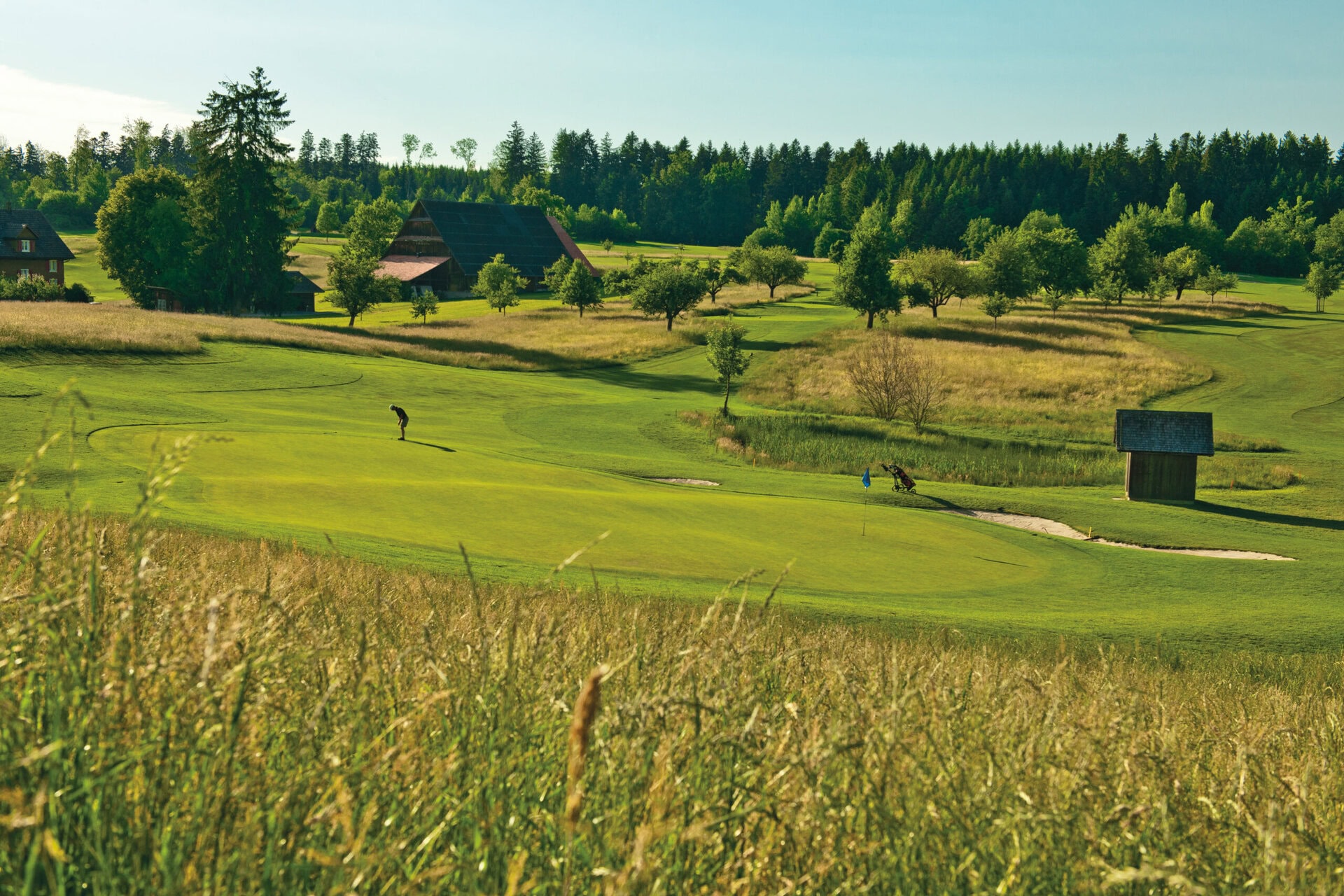 Golf Sempach Lakeside - Überblick | Green Golf